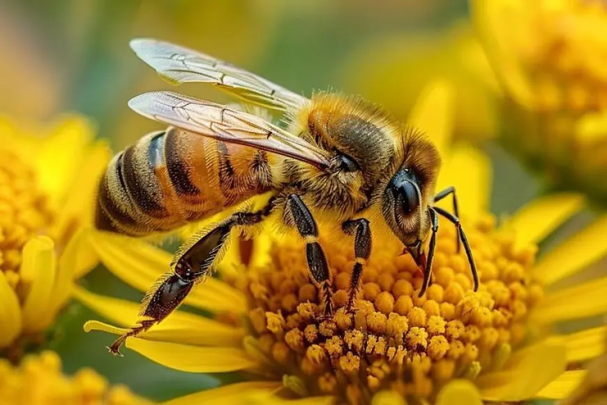 Why Bees Are Essential for Food Production - BindBlog.com - Where ...