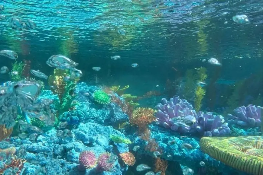 How Fish Breathe Underwater - BindBlog.com - Where Stories Bind Us Together