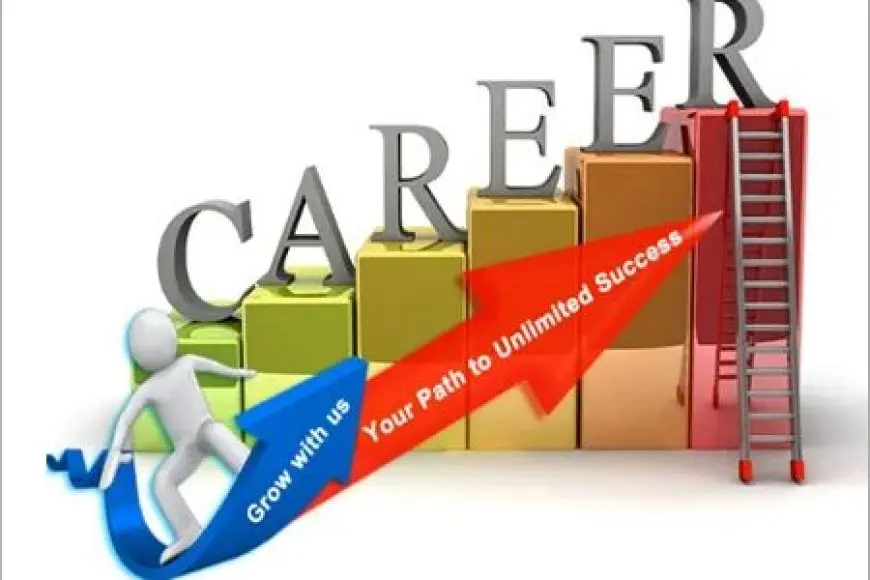How to Identify Your Ideal Career Path - BindBlog.com - Where Stories ...